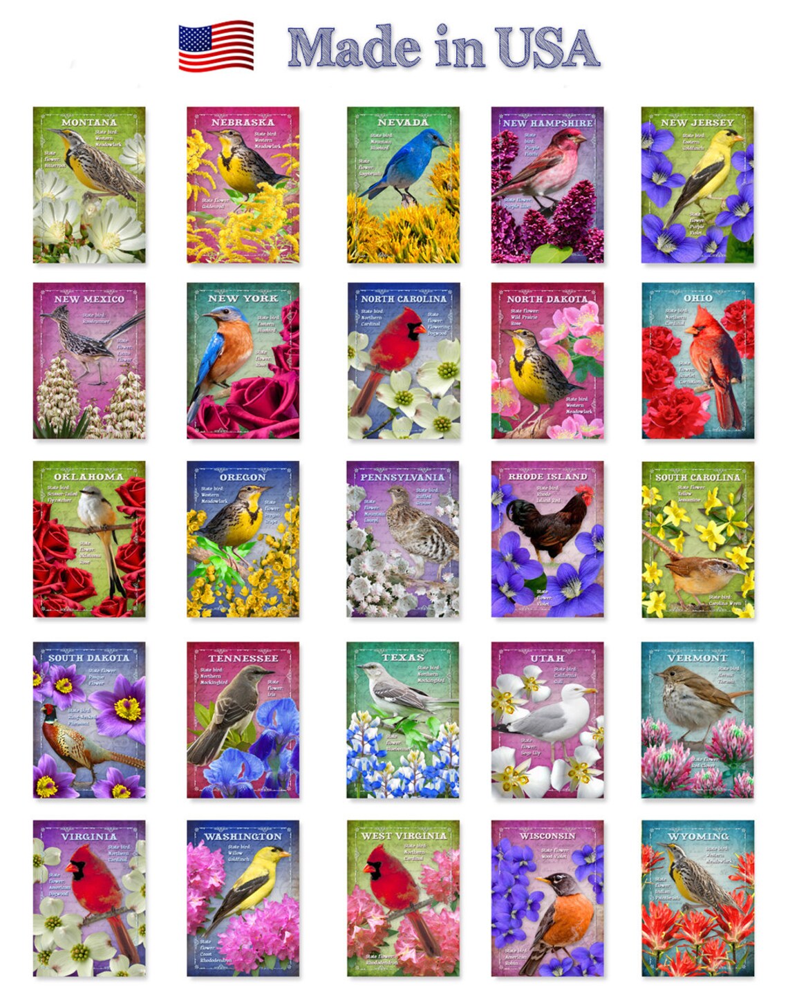 U.S. STATE BIRDS and Flowers Set of 50 Postcards. United - Etsy