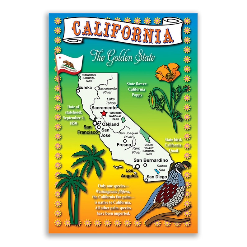 U.S. State Map Postcard Set of 50. Postcards Variety Pack. Post Cards ...