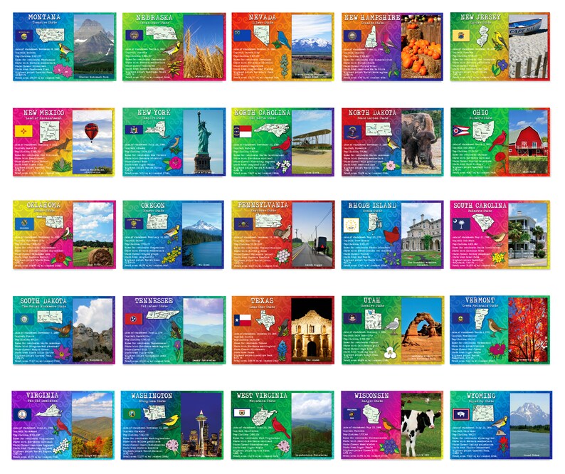 STATE FACTS Postcard Set of 50 Postcards. All 50 US States Symbols and ...