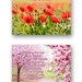 BIBLE QUOTES Note Card Set of 10. Blank Inside. Book Theme Variety Pack ...