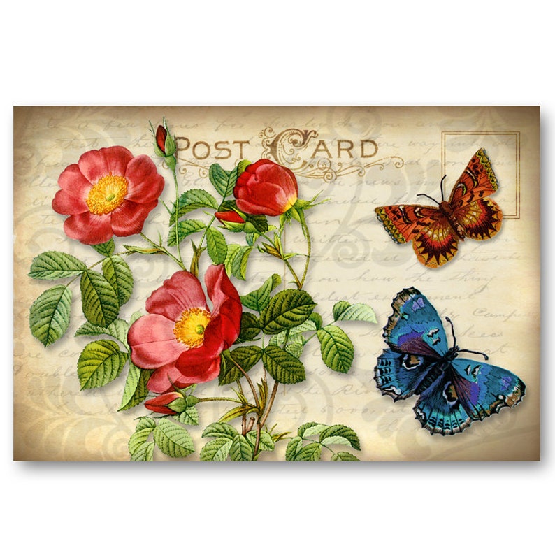 VICTORIAN FLOWERS Postcard Set of 20 Postcards. Artistic Flower in a ...
