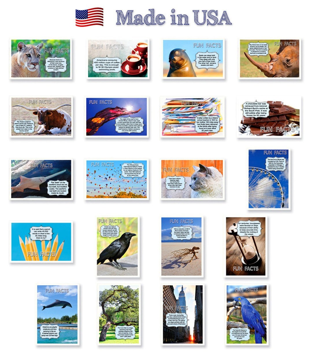 FUN FACTS Postcard Set of 20. Post Card Variety Pack With Trivia and ...