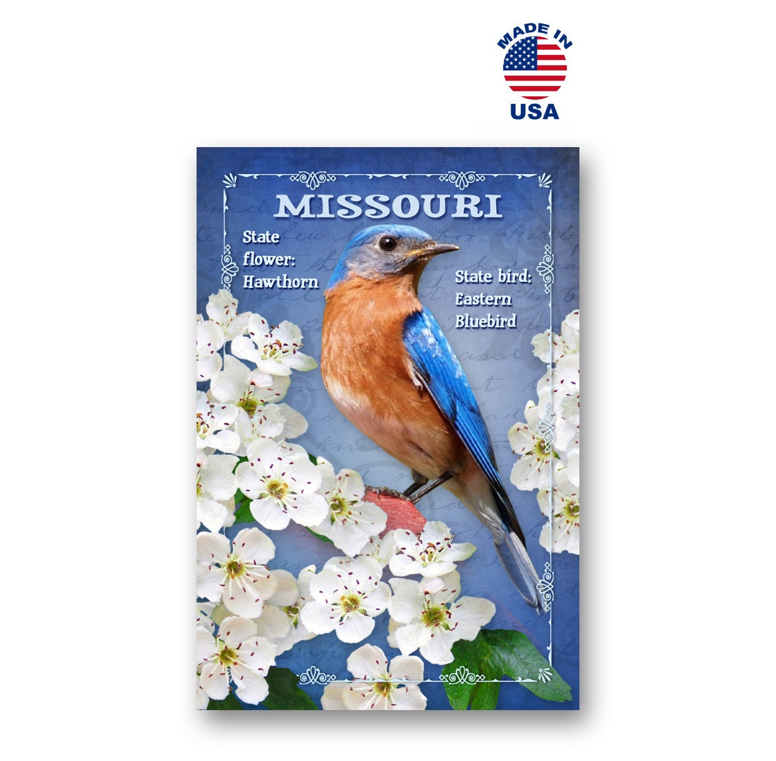 U.S. STATE BIRDS and Flowers Set of 50 Postcards. United States Bird ...