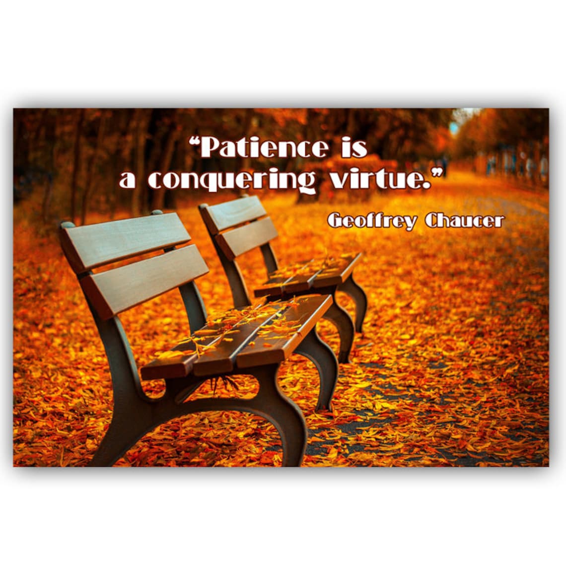 QUOTES Postcard Set of 20. Post Card Variety Pack With Famous Quote ...