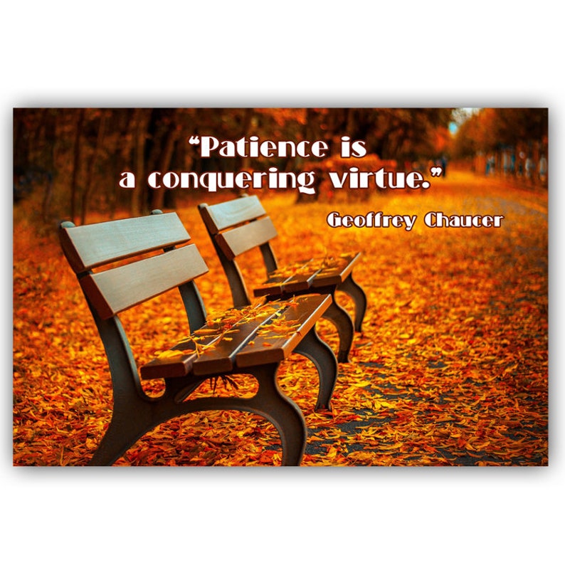 QUOTES Postcard Set of 20. Post Card Variety Pack With Famous Quote ...