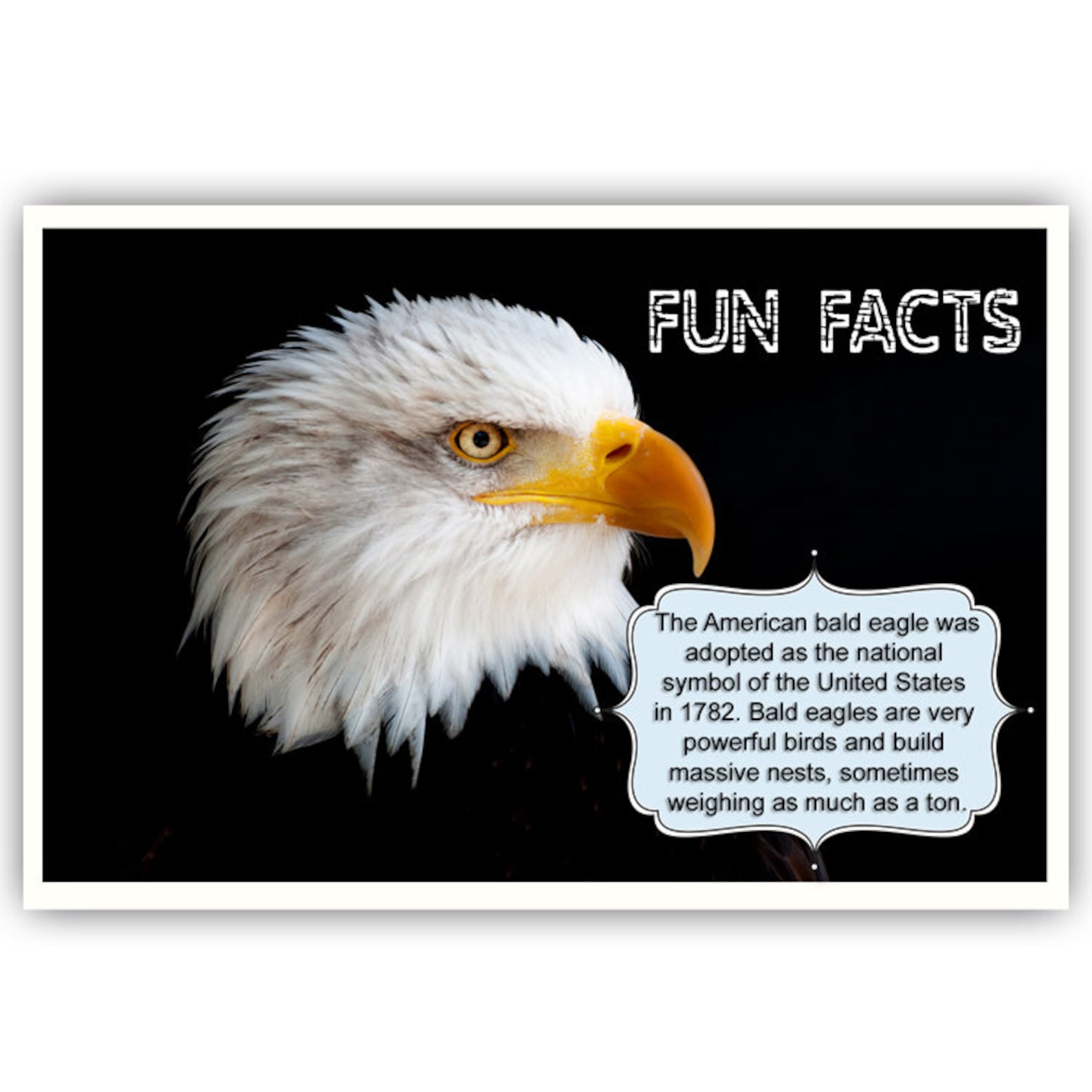 AMERICANA Fun Facts Postcard Set of 20 Postcards. Iconic America and ...