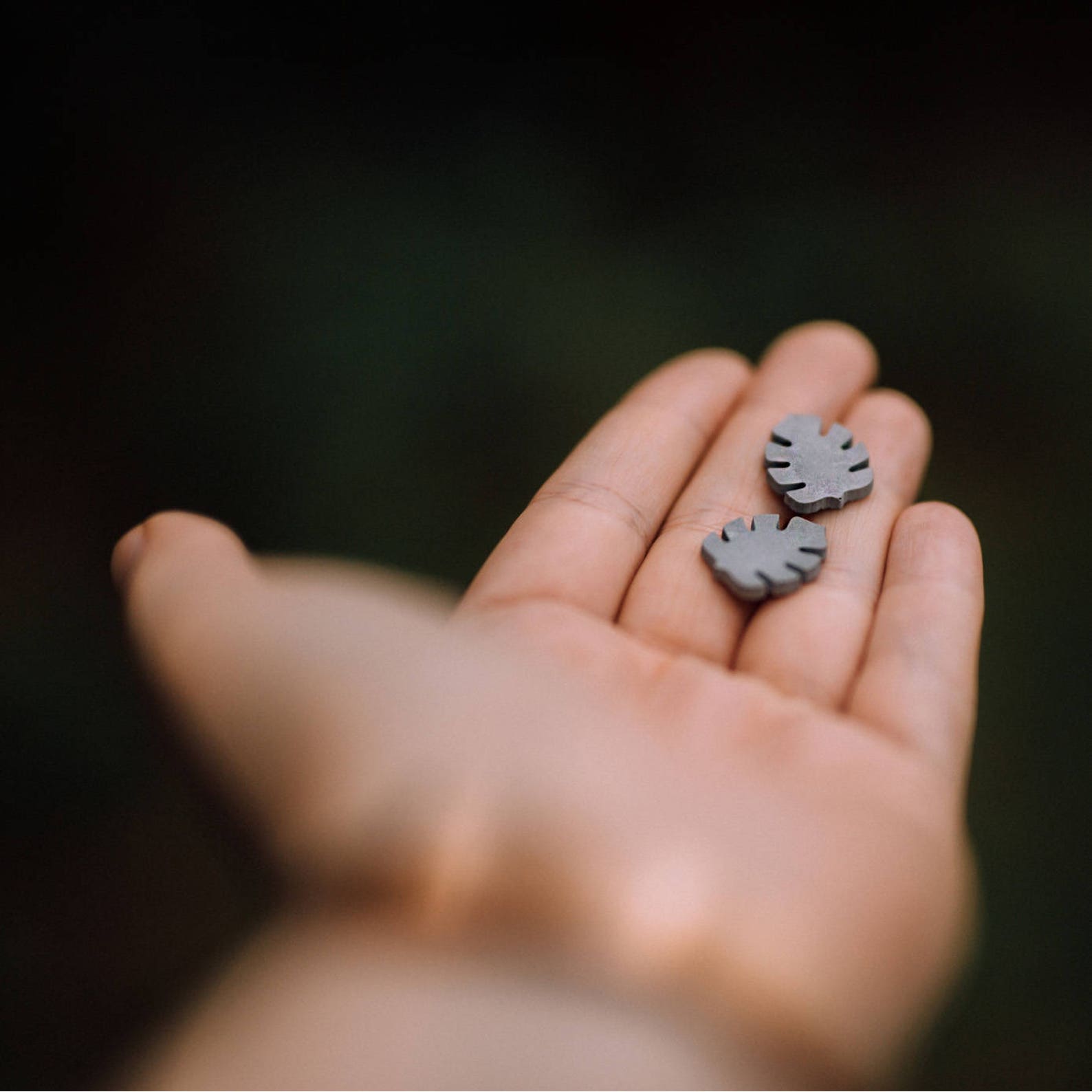 Concrete Jewelry, Jungle Jewelry, Concrete Earrings, Palm Leaf, Gift ...