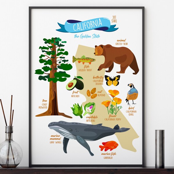 State Symbols - Etsy