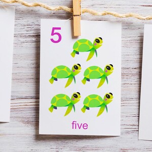 Numbers Flashcards Set - Etsy