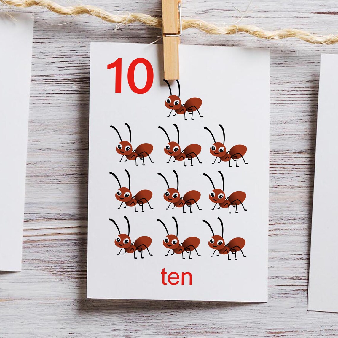 Numbers Flashcards Set - Etsy