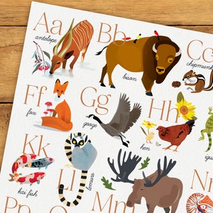 Woodland Animals ABC, Forest Nature ABC Poster, Homeschool, Nursery ABC ...