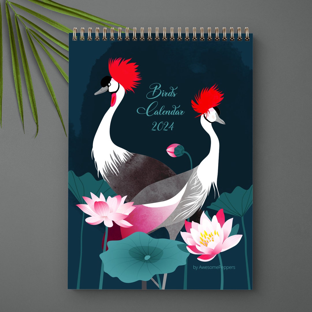 2024 Birds Calendar, 2024 Illustrated Wall Calendar, 2024Wall Calendar ...