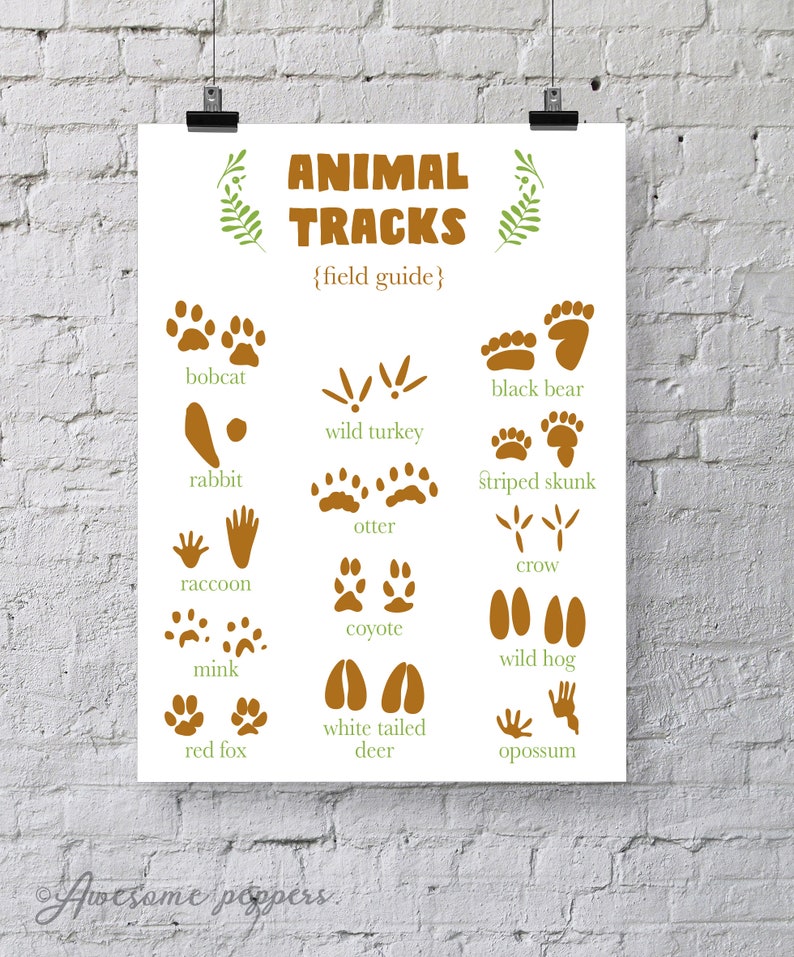 Animal Tracks Print | Etsy