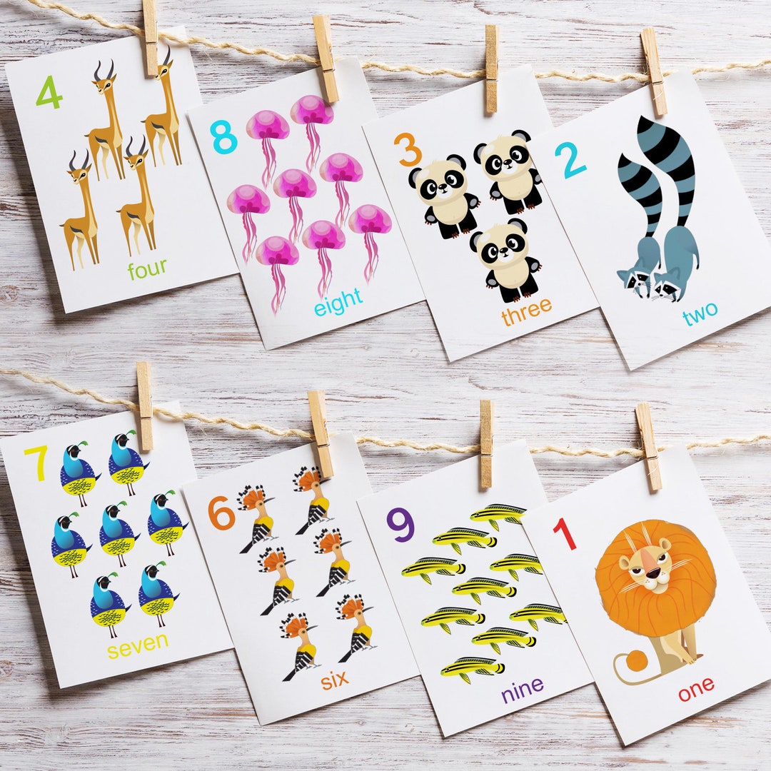 Numbers Flashcards Set - Etsy
