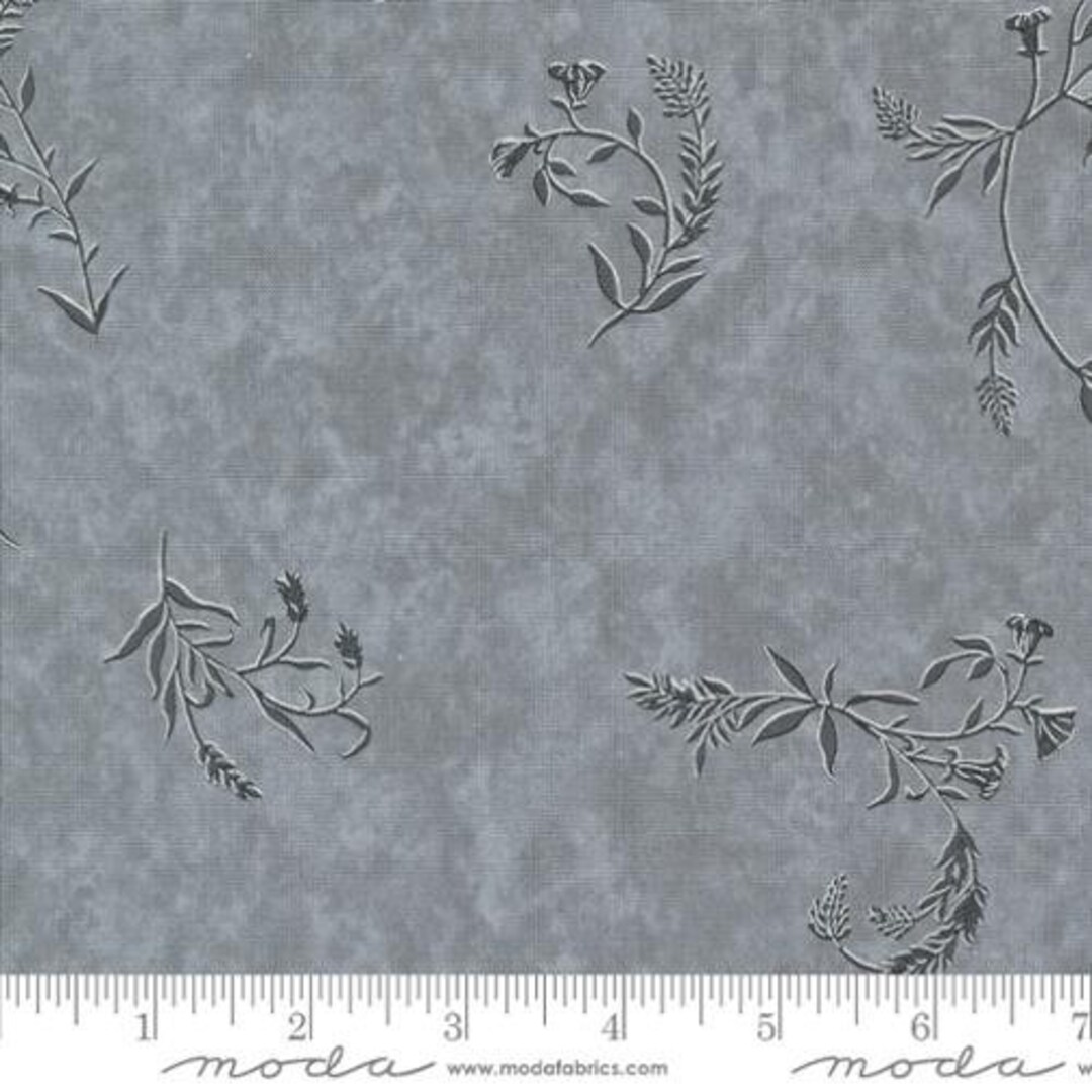 SILHOUETTES - Trailing Vines in Shadow (6931 13) - by Holly Taylor for ...