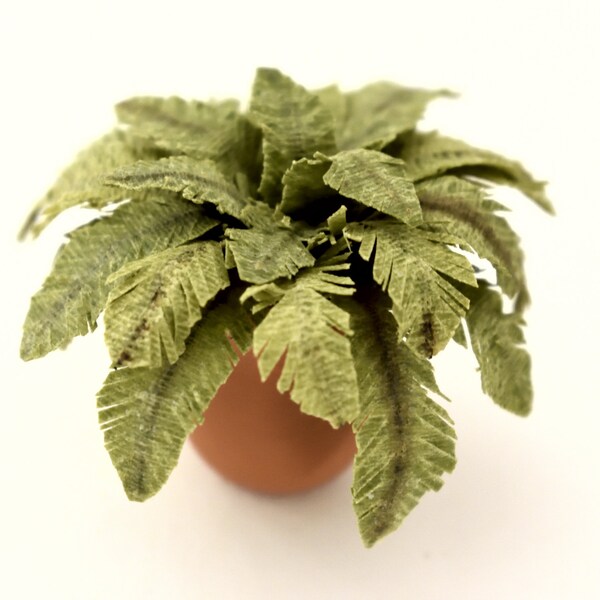 Miniature Fern - Etsy