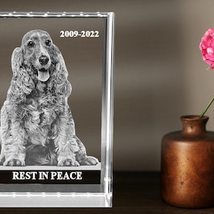 DOG MEMORIAL FRAME, Pet Remembrance Gift, 3d Photo Crystal, Pet Picture ...