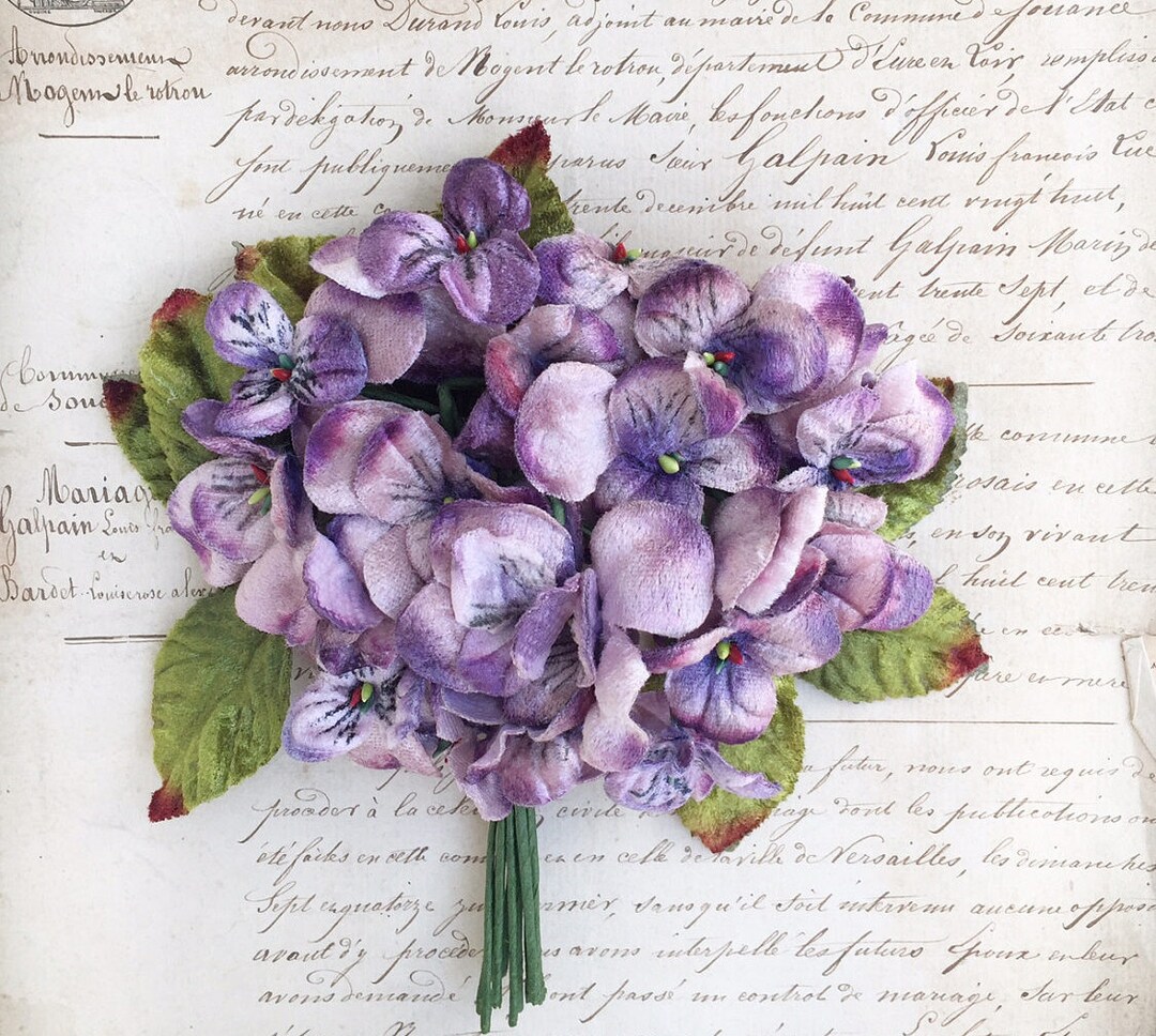Velvet Flowers. Velvet Flower Posy. Velvet Viola Posy. Vintage ...