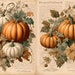 A4 Autumn Pumpkin Floral Quad Rice Paper DC438 - Etsy