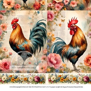 A4 Parchment Rooster Quad Decoupage Rice Paper, DC456 - Etsy