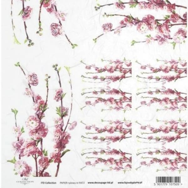 Large Apple Stamp - Etsy