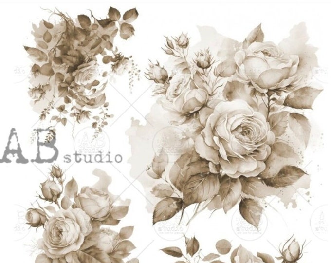A4 Sepia Roses Milky Valley ID56 - Etsy