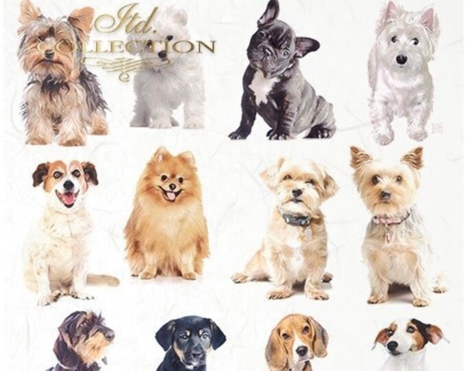 A4 Fur Babies Rice Paper for Decoupage and Crafts ITD 2147 - Etsy