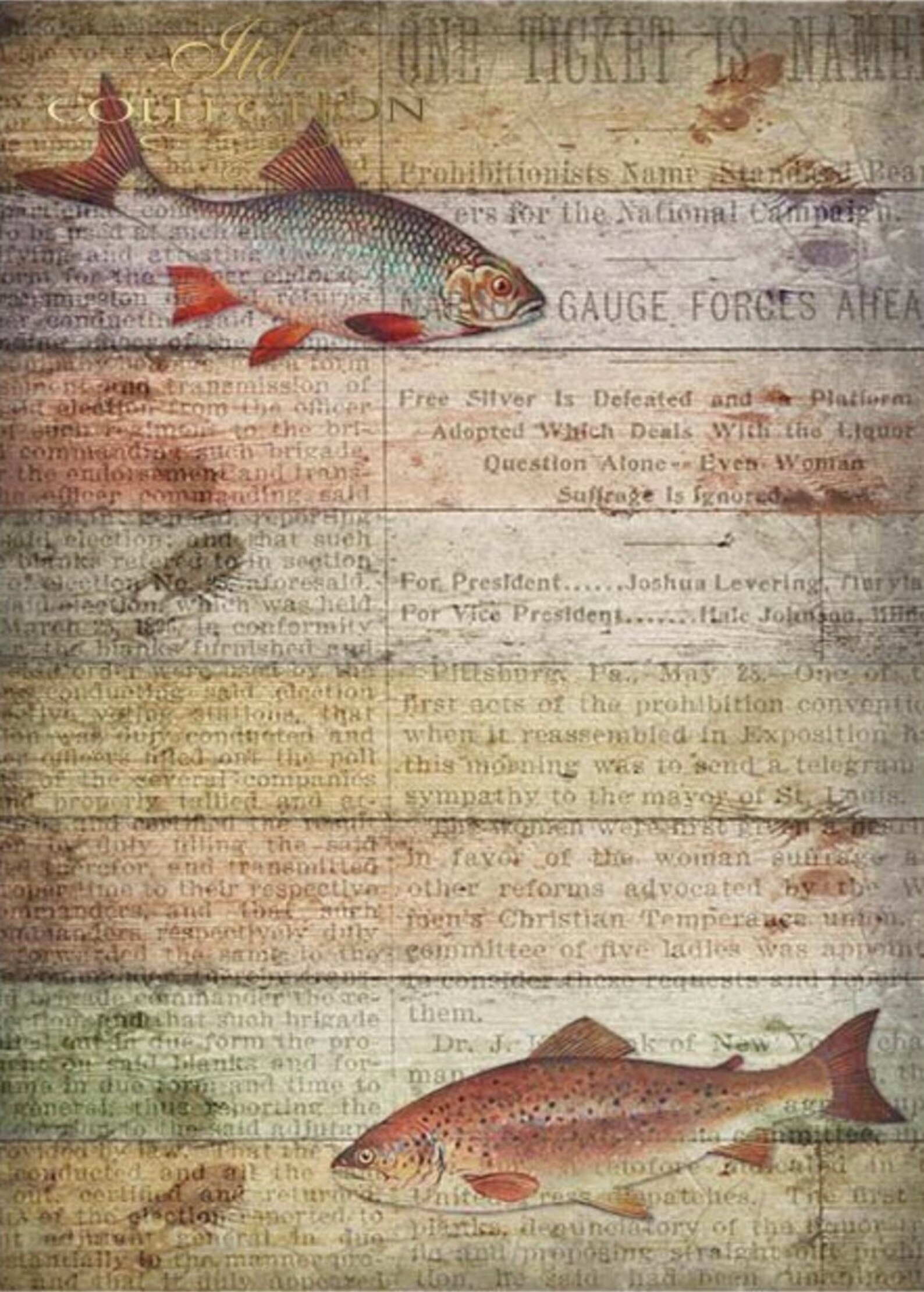 A4 Fish Board Decoupage Paper R1133 - Etsy