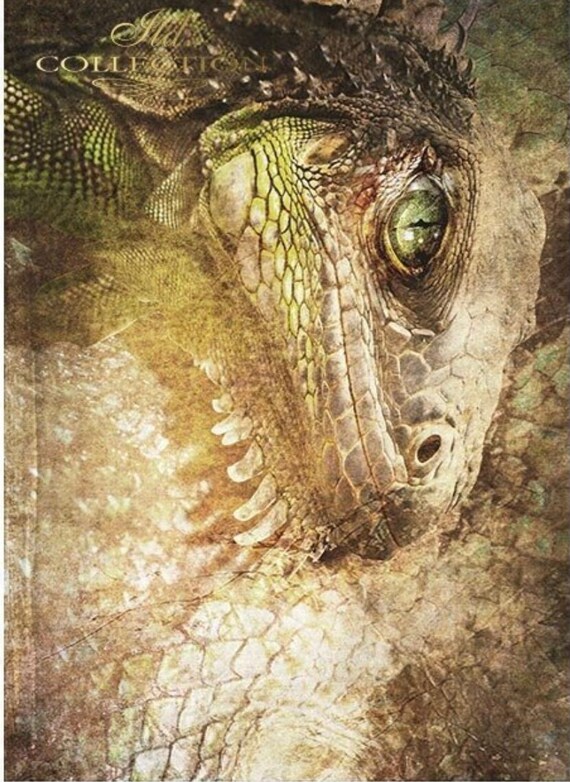 A3 Dragon Head Decoupage Paper R067L - Etsy