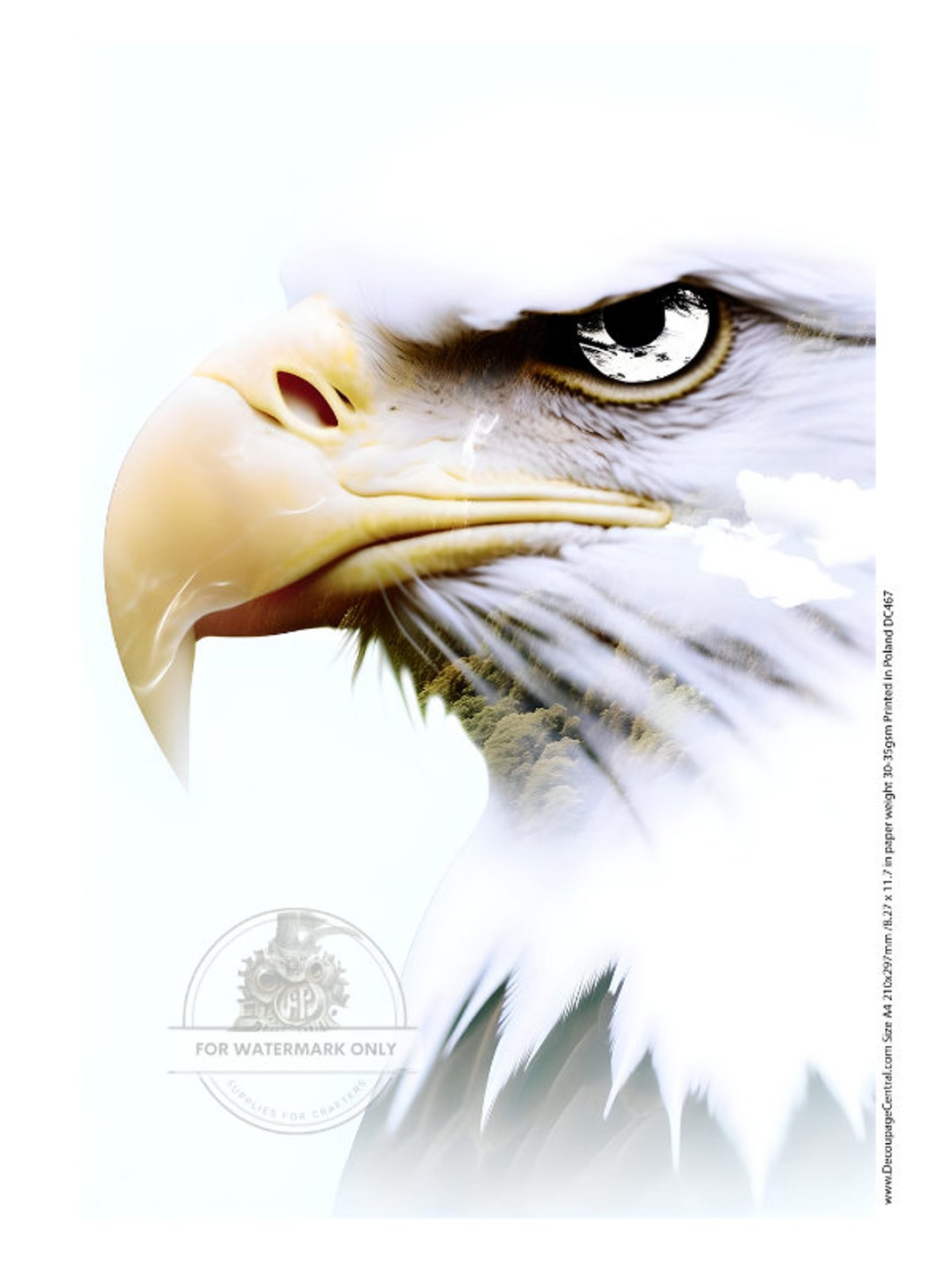 A4 Flyover Country Decoupage Rice Paper, DC467 - Etsy