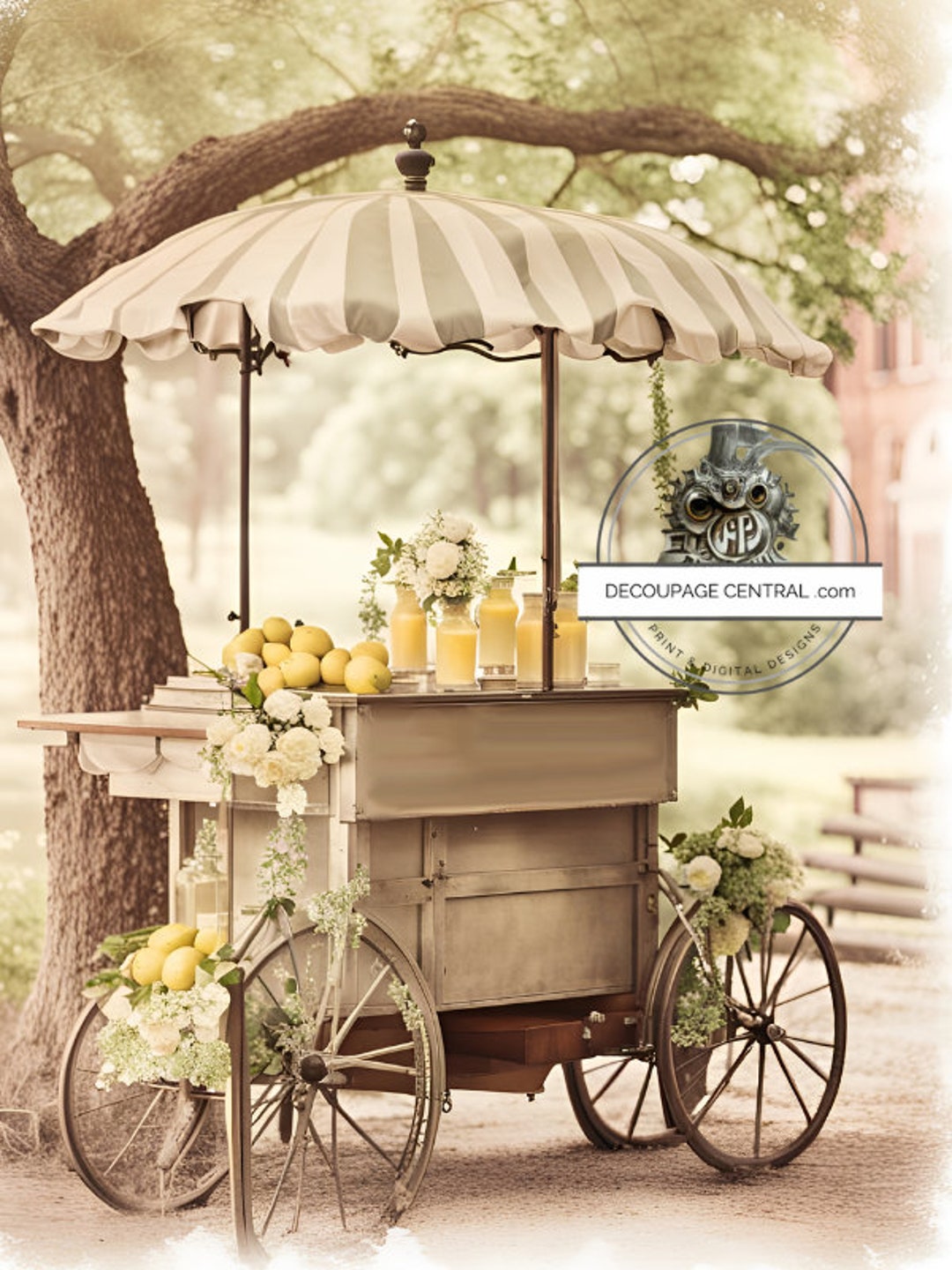 A4 Lemonade Stand Rice Paper, DC186 - Etsy