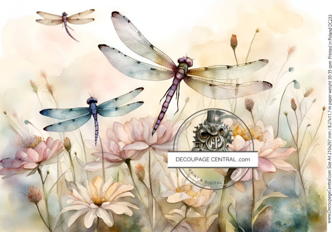 A4 Dragonfly Fields Decoupage Rice Paper, DC233 - Etsy