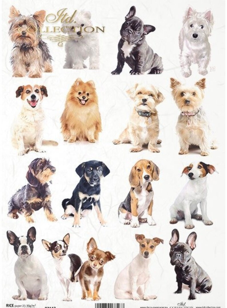 A4 Fur Babies Rice Paper for Decoupage and Crafts ITD 2147 - Etsy