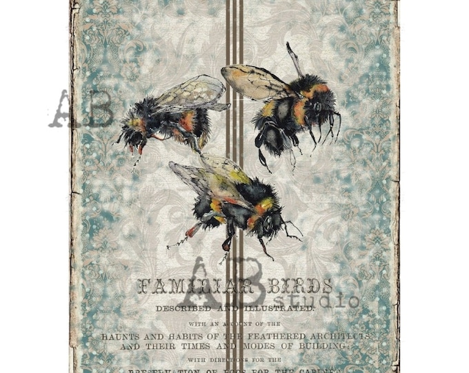 Bee Paris France Large Decoupage Paper for Furniture Rice Paper for ...