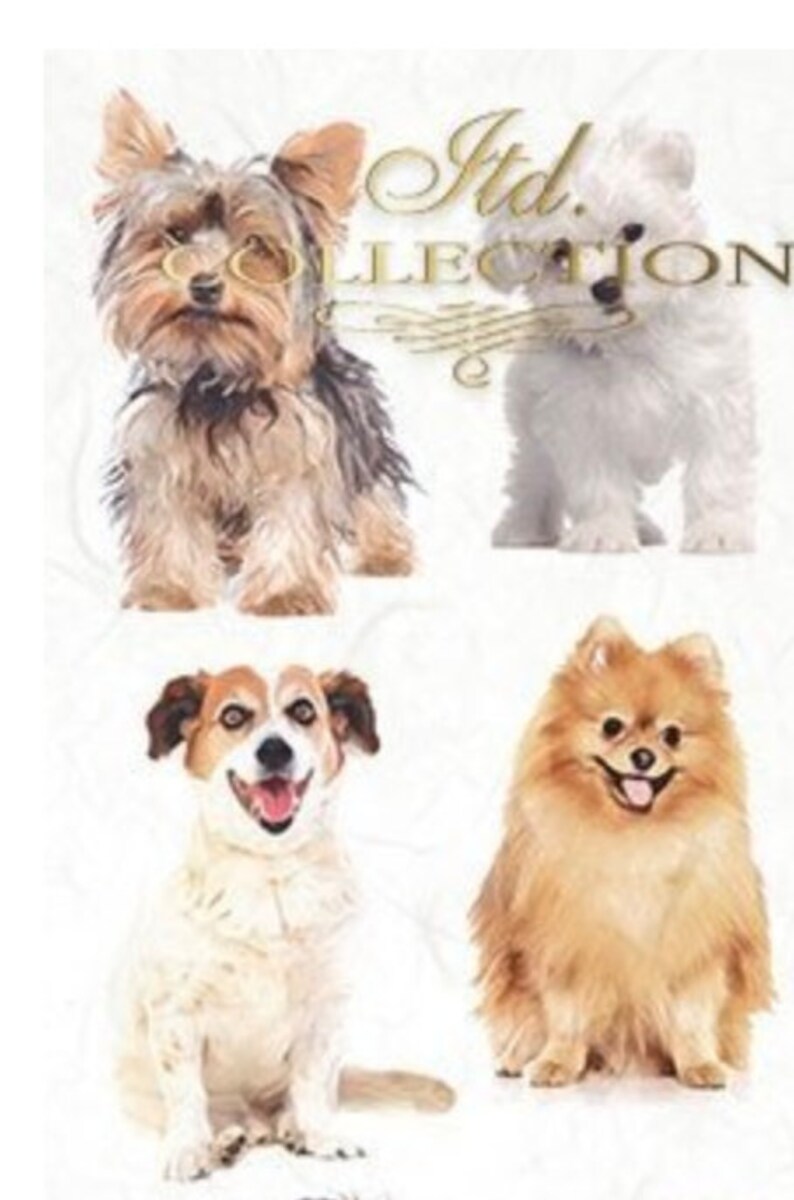 A4 Fur Babies Rice Paper for Decoupage and Crafts ITD 2147 - Etsy