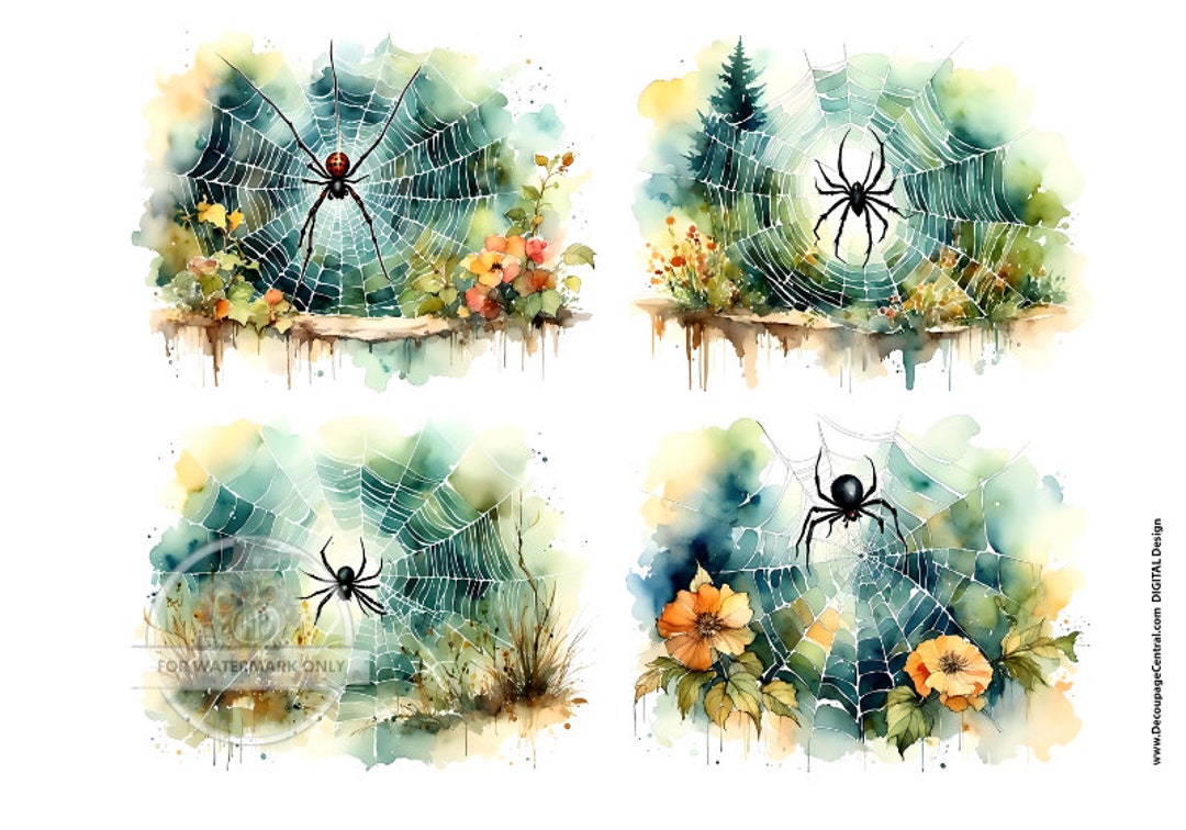Digital Download: Digital Spider Quad, Digital Download in PNG Print - Etsy