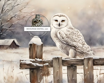 Decoupage Central, Holiday, Cardinal, Christmas, Vintage Style, Shabby ...