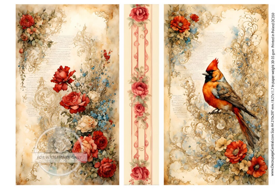A4 Cardinal Story , Decoupage Rice Paper, DC350 - Etsy