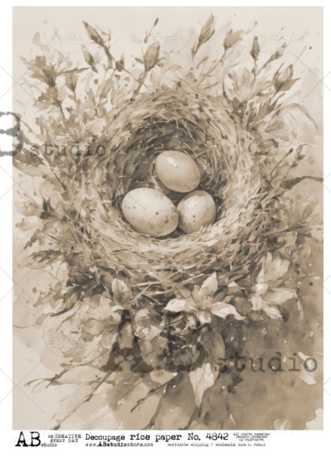 A4 Sepia Eggs in Nest, AB Studios 4842 - Etsy