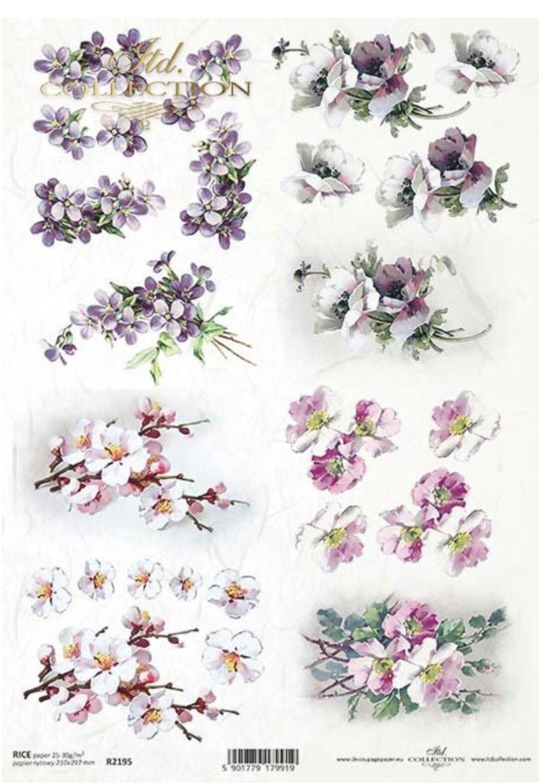 3 Dimensional Flower From Rice Paper, Create 4 Different Flowers, See ...