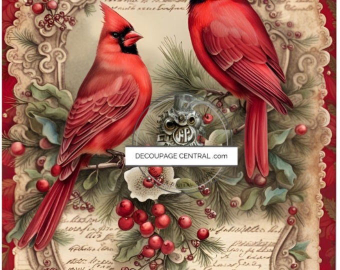 A4 HOLIDAY CARDINALS Decoupage Rice Paper, DC153 - Etsy