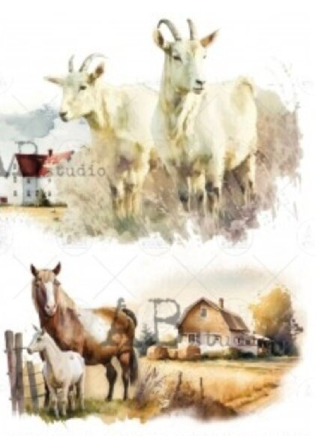 A4 Goats & Horses AB Studios Rice Paper 1655 - Etsy