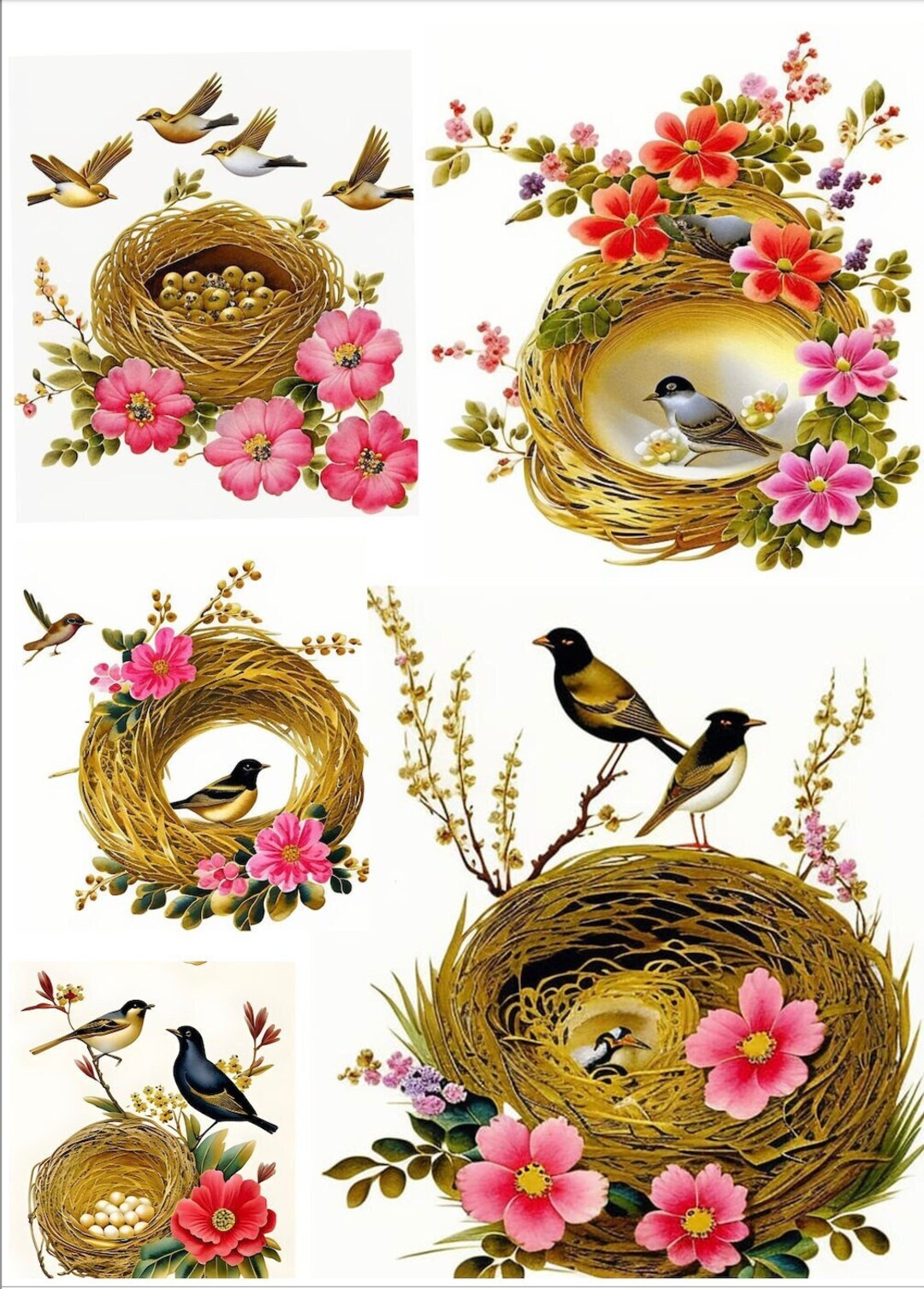 A4 Birds and Bees Decoupage Rice Paper From Decoupage Central - Etsy