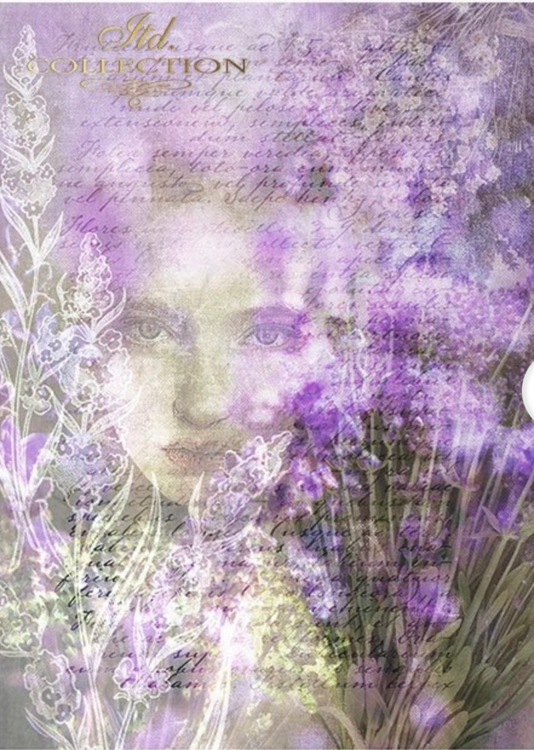 A4 ITD the Face of Nature Purple Decoupage Paper R2073 - Etsy
