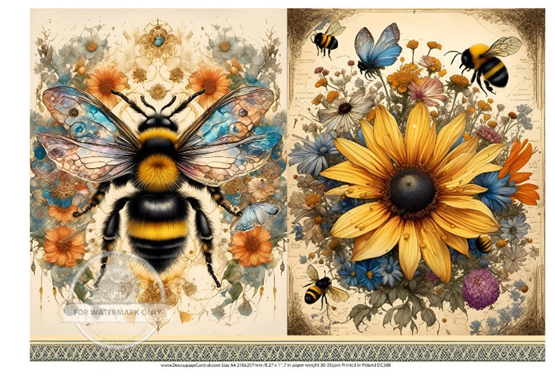A4 Bee and Daisy Duo Decoupage Rice Paper, DC388 - Etsy