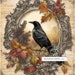 A4 Harvest Crow Decoupage Rice Paper, DC152 or Crafting, Home Decor ...