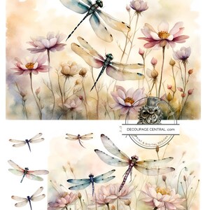 A4 Dragonfly Fields Duo Decoupage Rice Paper, DC232 - Etsy