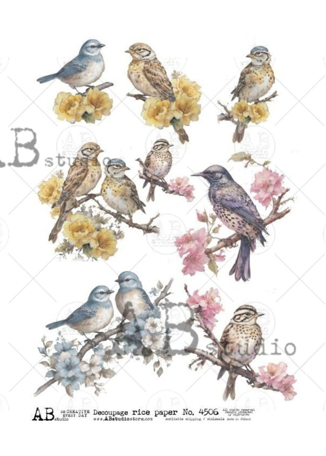 A4 Birds on A Branch Spring Rice Paper 4506 - Etsy