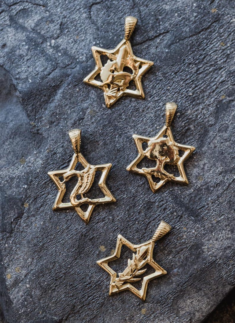 14K Solid Gold Star of David Pendant, IDF Air Force Brigade Necklace ...