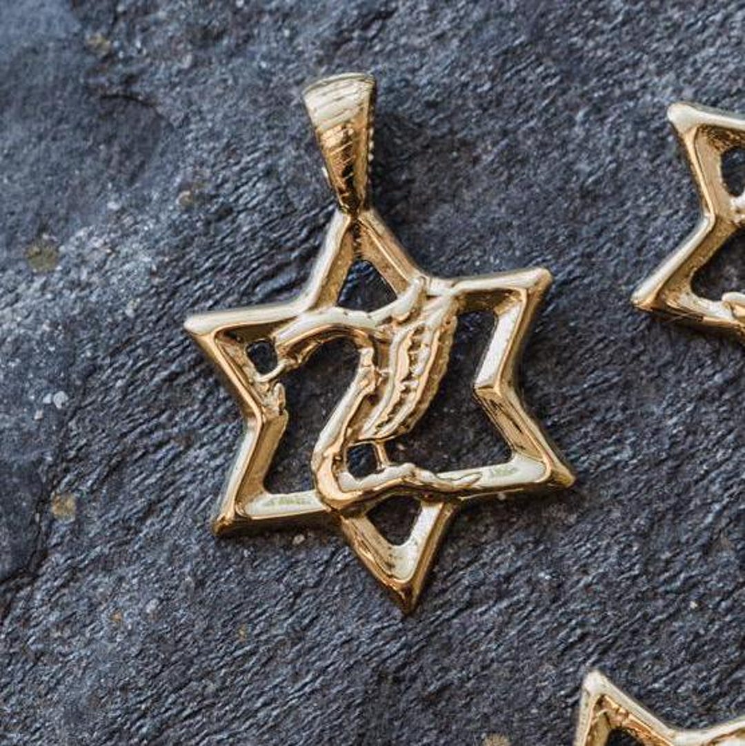 IDF Paratroopers Brigade Pendant, 14K Solid Gold Star of David , Iron ...